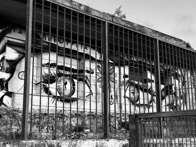 Philosophie der Grenze, an der Grenze und über sie hinaus - feinschwarz.net